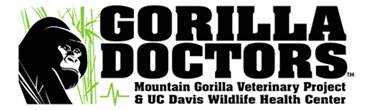 Gorilla Doctors - Mountain Gorilla Veterinary Project & UC Davis ...