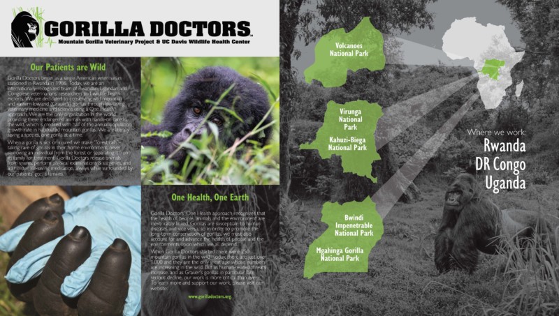 Reports & Brochures - Gorilla Doctors Gorilla Doctors