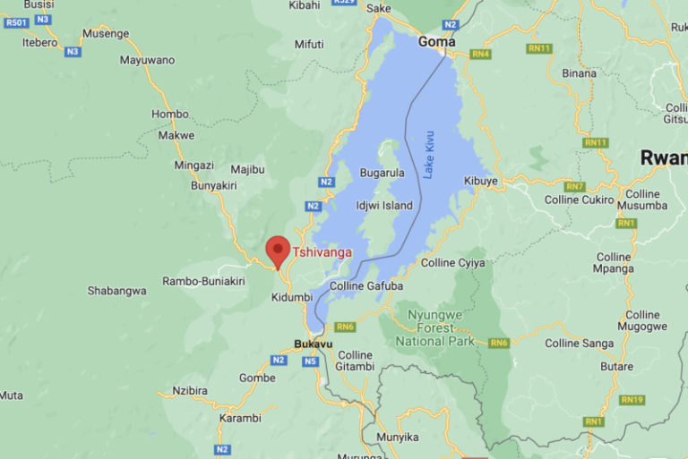 Jackson Goes to Tshivanga Station - Gorilla Doctors Gorilla Doctors